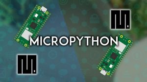 Learn Raspberry Pi Pico/Pico W with MicroPython (eBook)